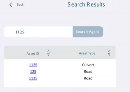 Create an Asset Condition Assessment